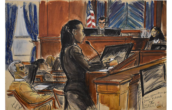 Elizabeth Williams | Illustrator, courtroom artist and author